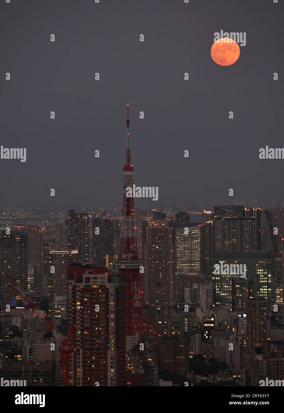 The mid-autumn full moon is observed from Shibuya Sky in Shibuya Ward ...