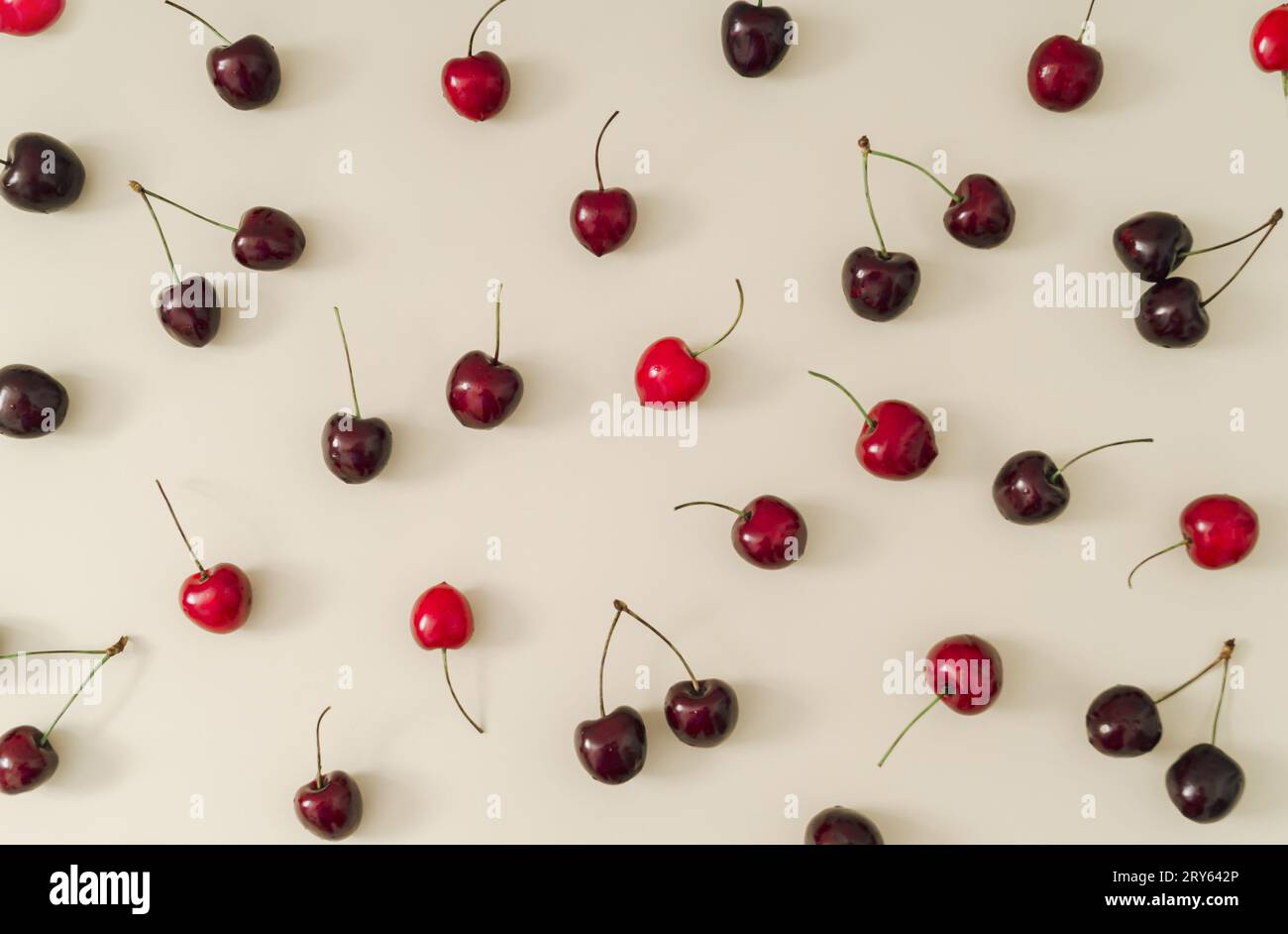 Aesthetic layout fresh organic hi-res stock photography and images - Alamy