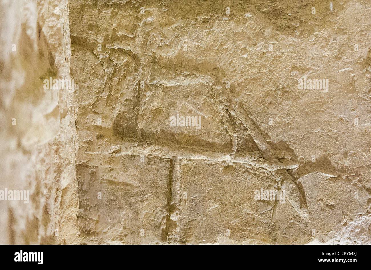 Egypt, Saqqara, Djoser pyramid, North Tomb, a detail of king Djoser ...