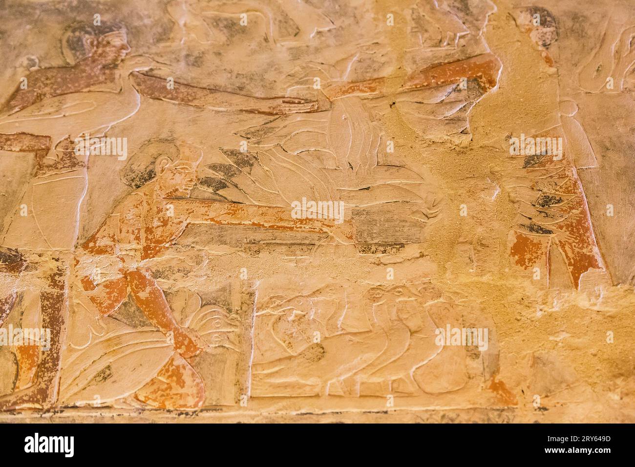 Egypt, Saqqara, tomb of Mehu, putting birds in cages Stock Photo - Alamy