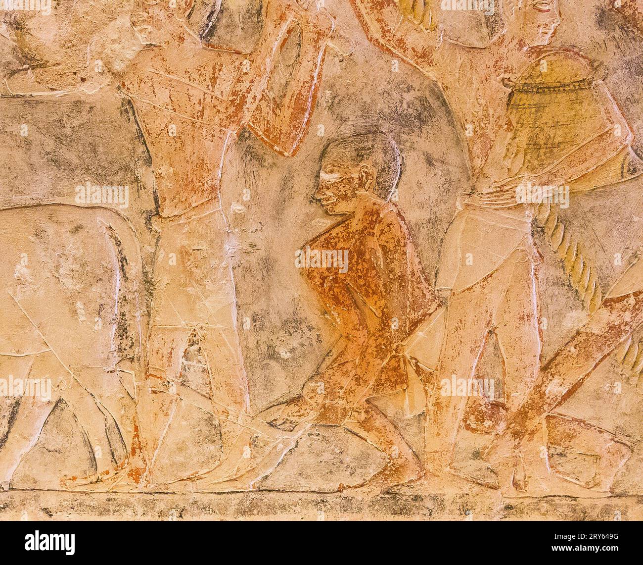 Egypt, Saqqara, tomb of Mehu, agriculture : Ploughing Stock Photo - Alamy