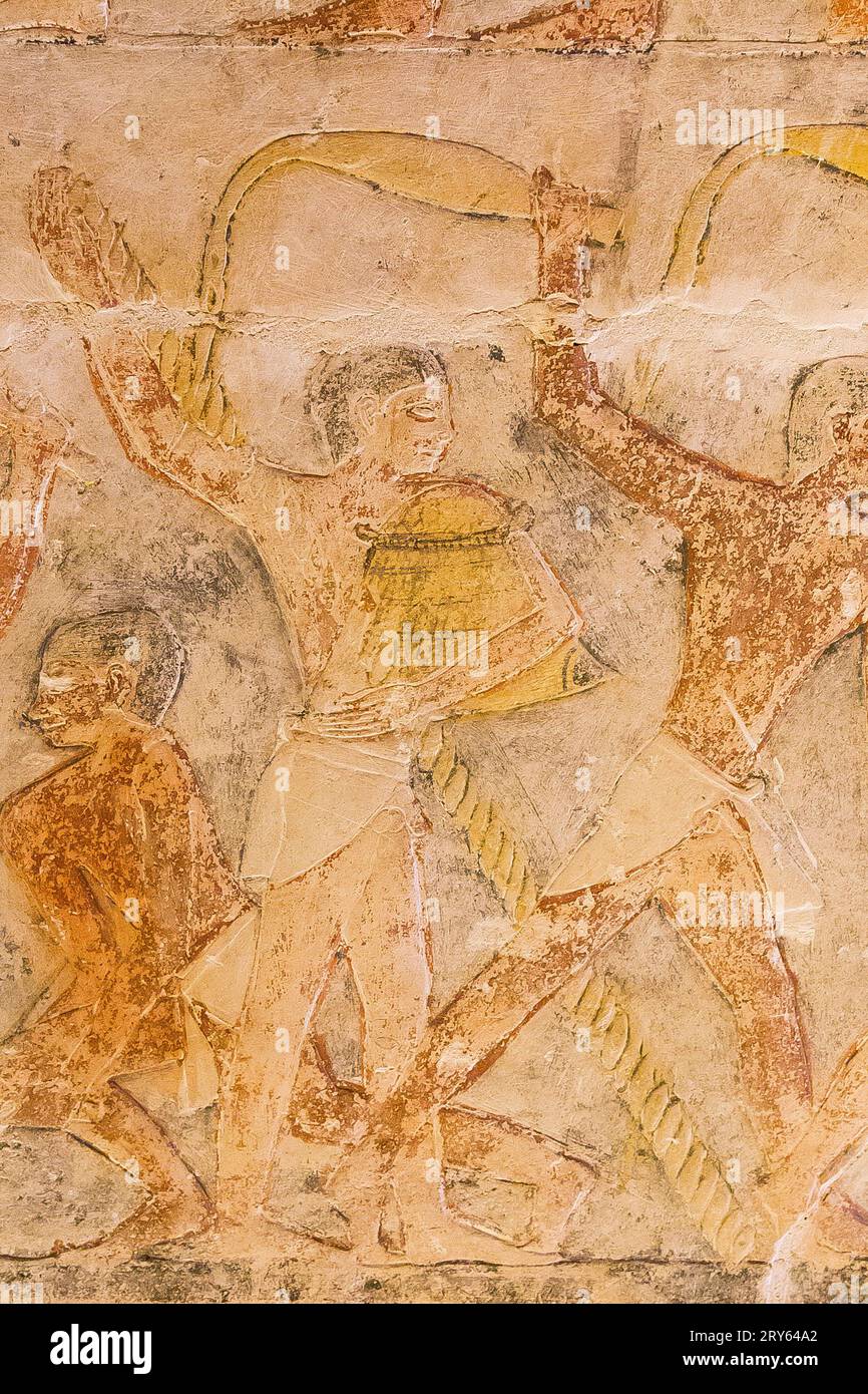 Egypt, Saqqara, tomb of Mehu, agriculture : Sowing cereals Stock Photo ...