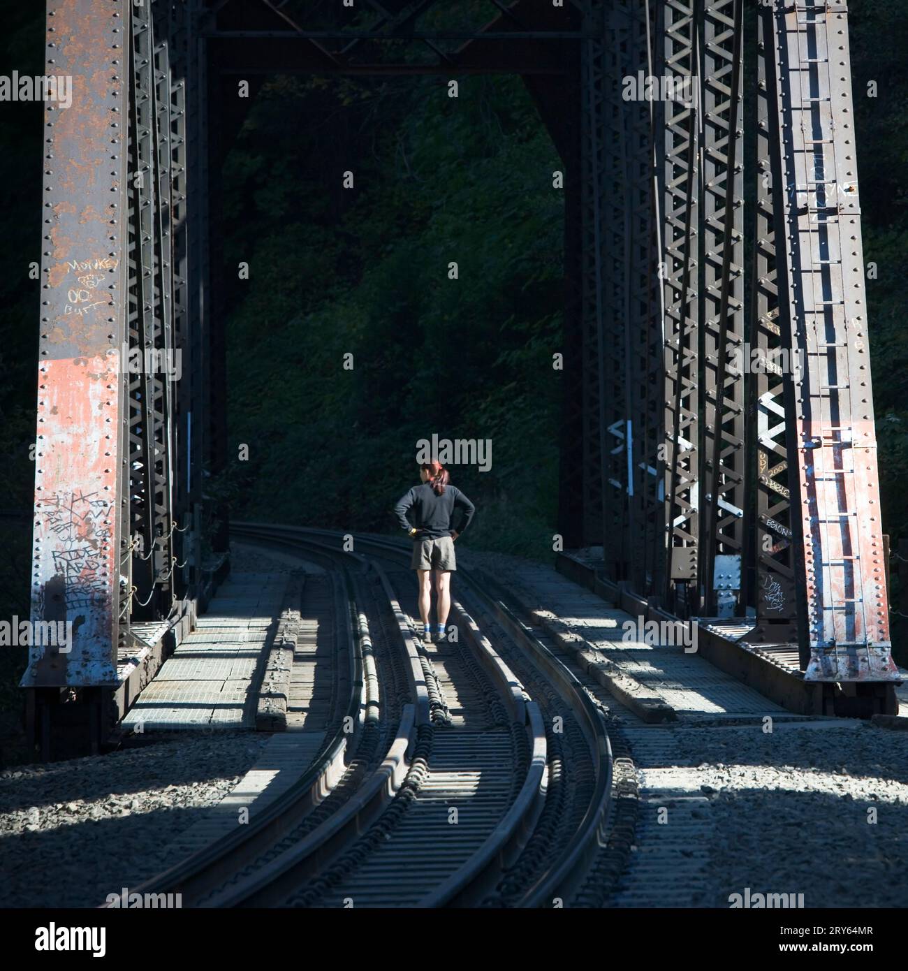 Train leaving bridge hi-res stock photography and images - Alamy