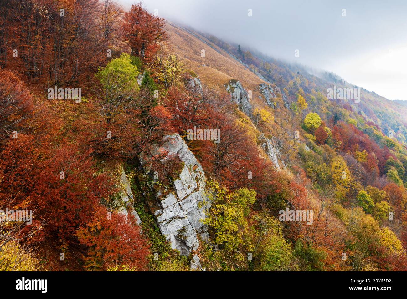Golden autumn in the eastern Carpathians Stock Photo - Alamy