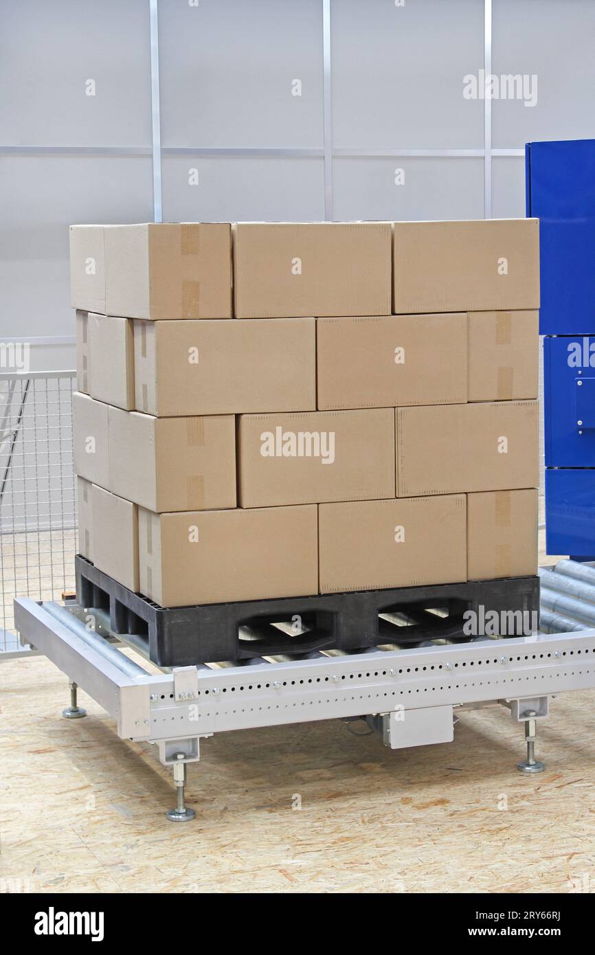 Boxes at Plastic Pallet Transport by Conveyor Rollers in Distribution ...