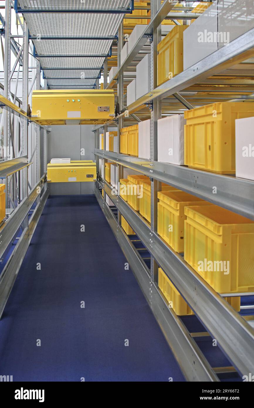 Automatic Pallet Shuttle Retrieval System in Modern Distribution ...