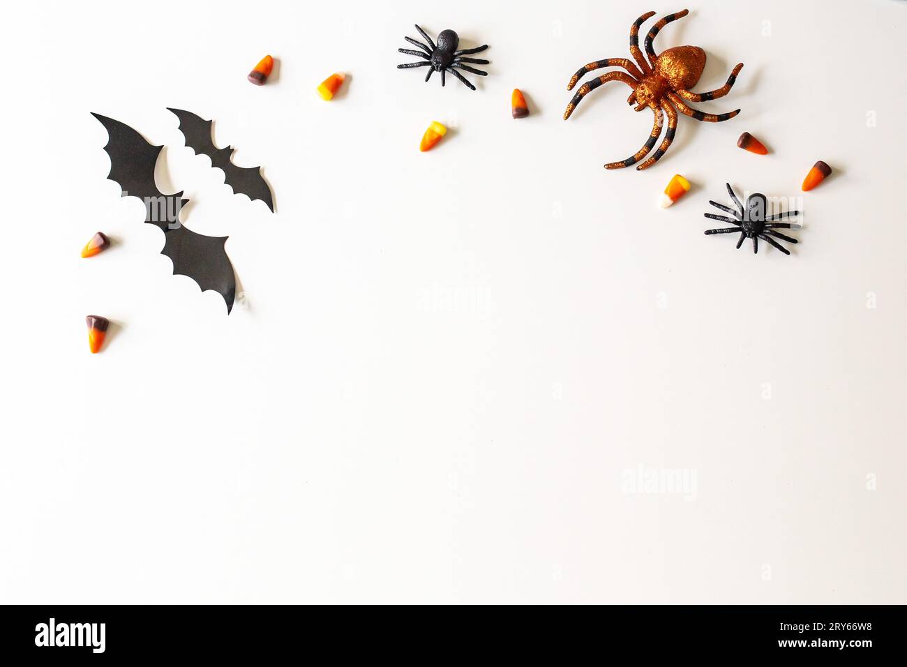 Spiders and bats hi-res stock photography and images - Alamy