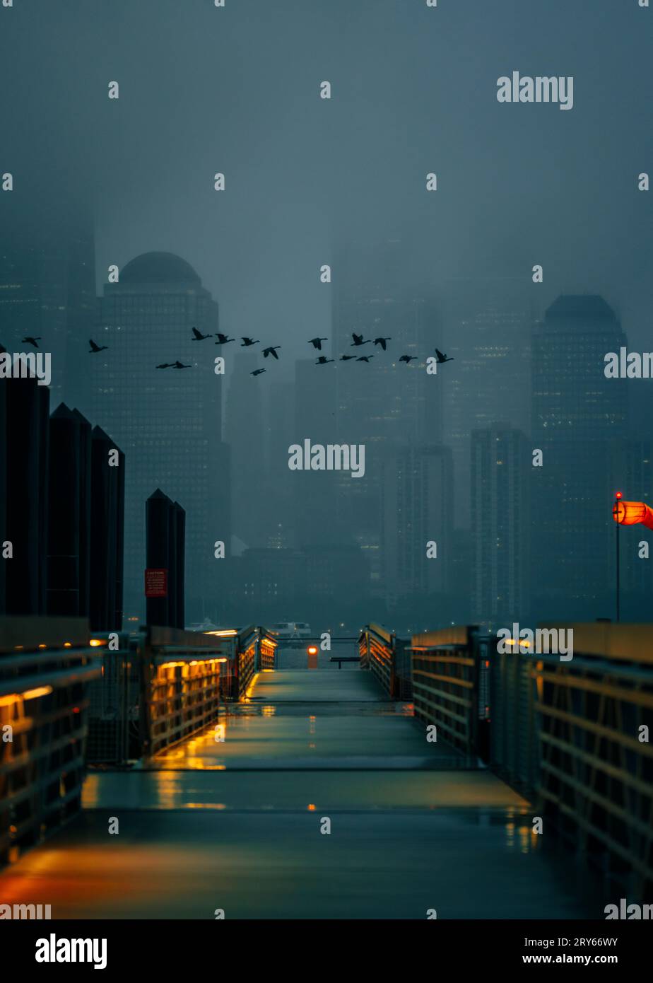 fog over the city New York sunrise birds floating in port Stock Photo ...