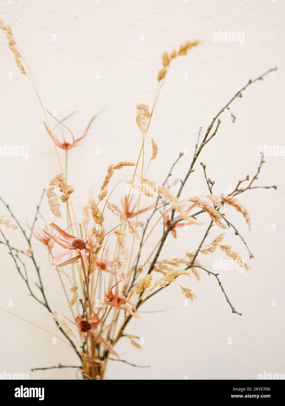 Rustic dried floral arrangement with wheat, barley, and sticks Stock ...
