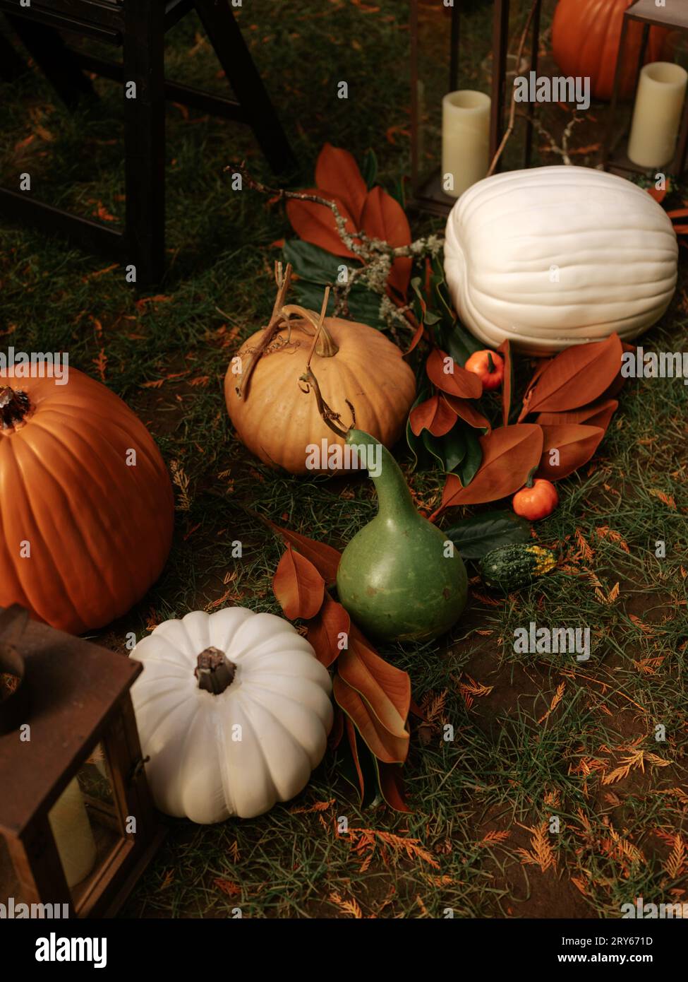 Gourd centerpiece hi-res stock photography and images - Alamy