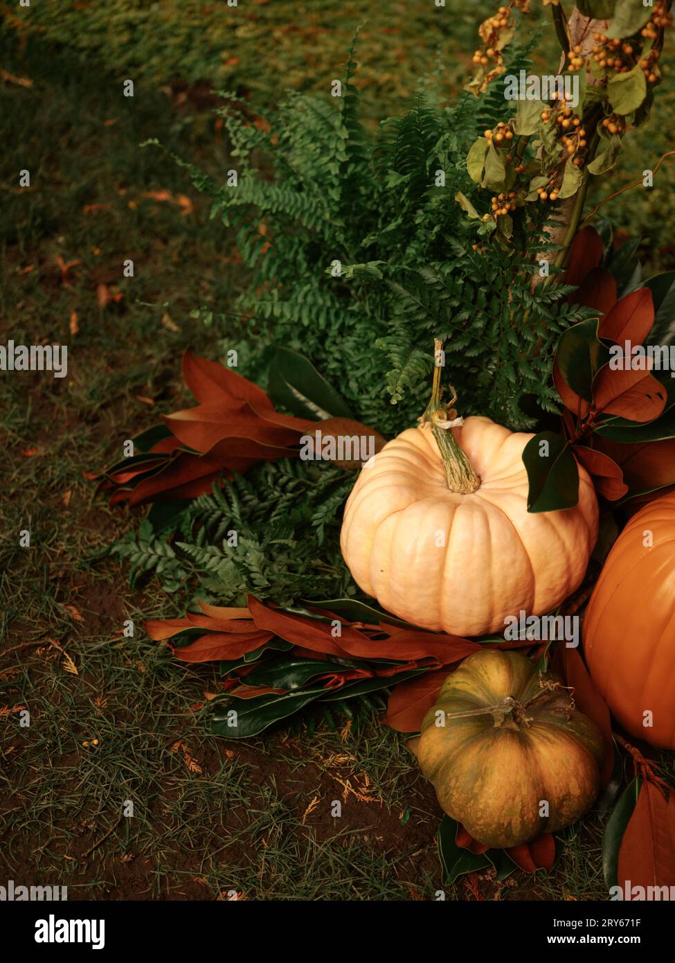 Outdoor assortment of pumpkins and gourds, rustic autumnal decor Stock ...