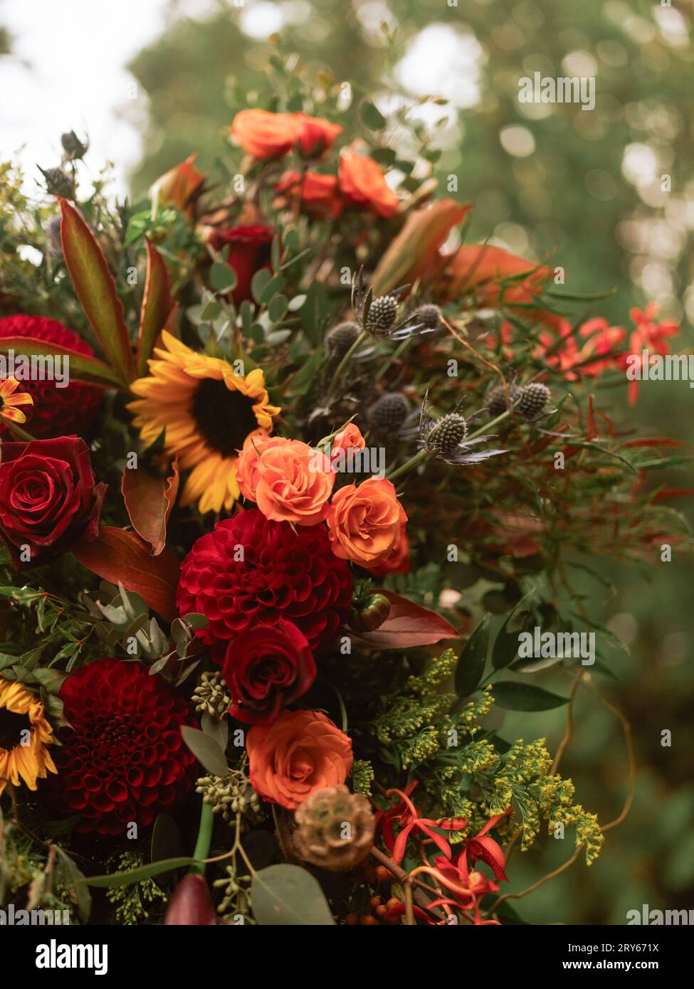 Fall wedding backdrop hi-res stock photography and images - Alamy