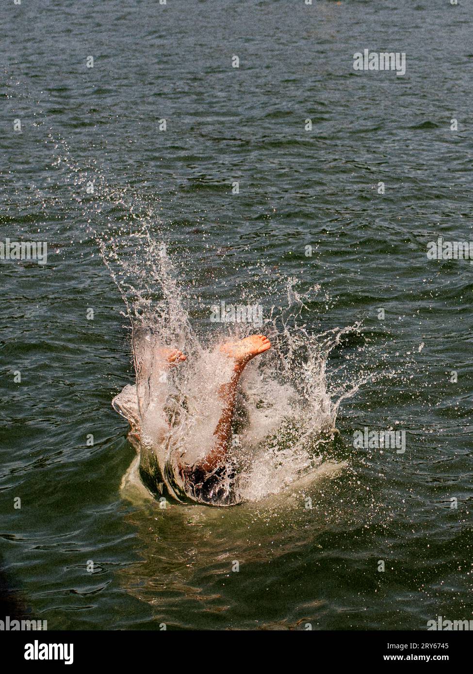 Man diving headfirst into the ocean with a splash Stock Photo - Alamy
