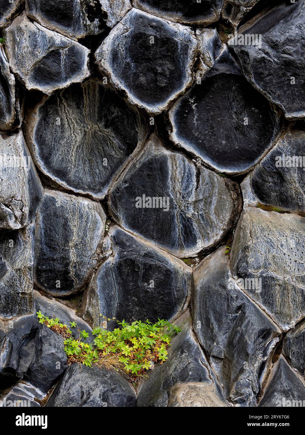 Close-up view of Hljodaklettar Basalt Formations Stock Photo - Alamy