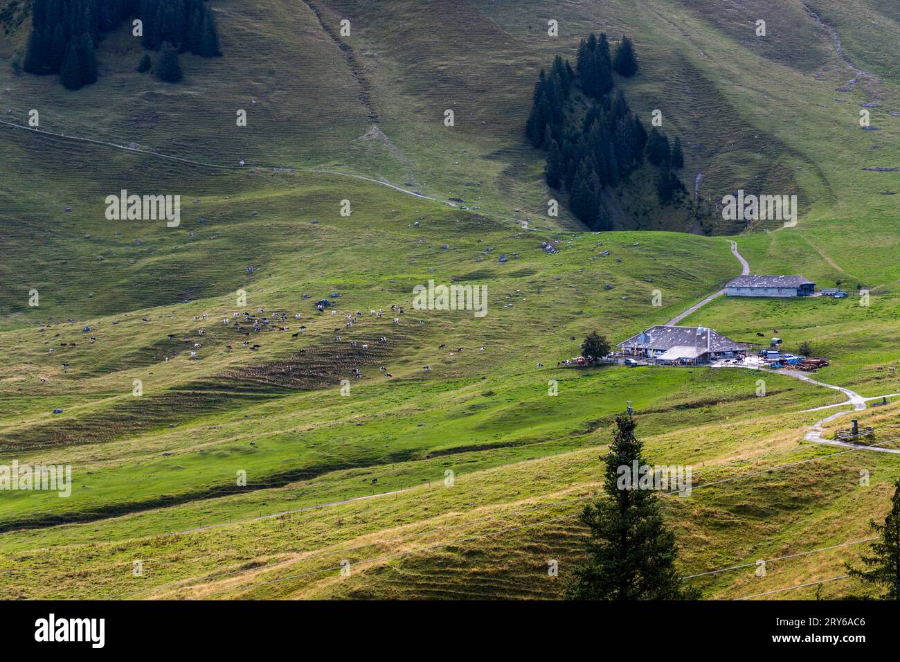 The primeval landscape of Brecca is a varied hiking area. Jaun ...