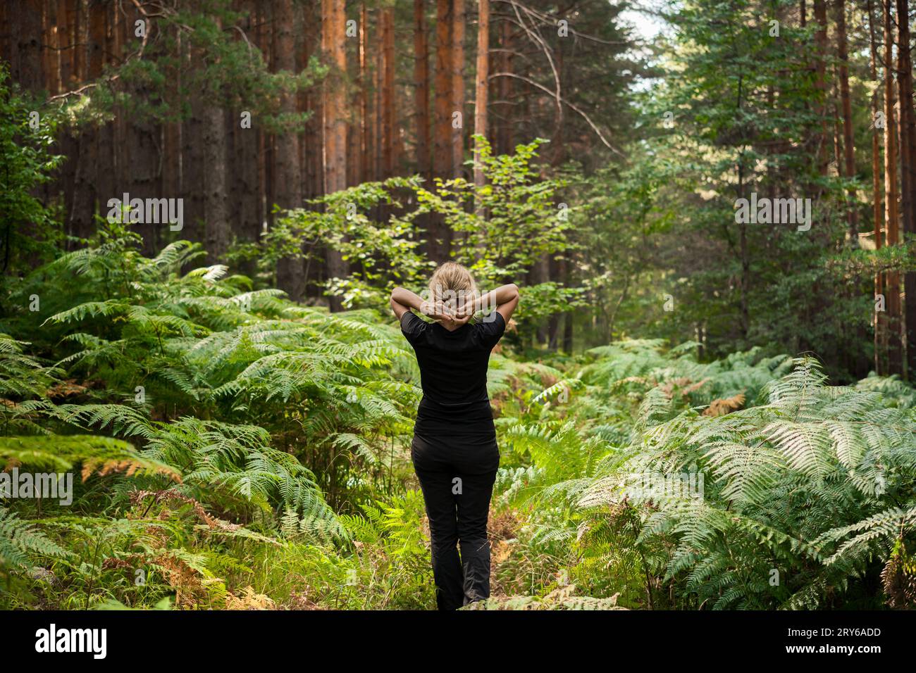 Forest baths, restoration of strength and psyche, an adult woman walks ...