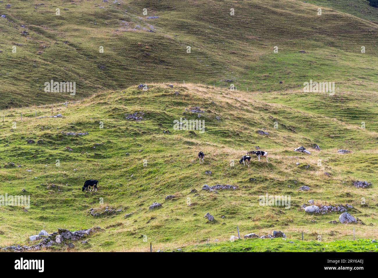 The primeval landscape of Brecca is a varied hiking area. Jaun ...