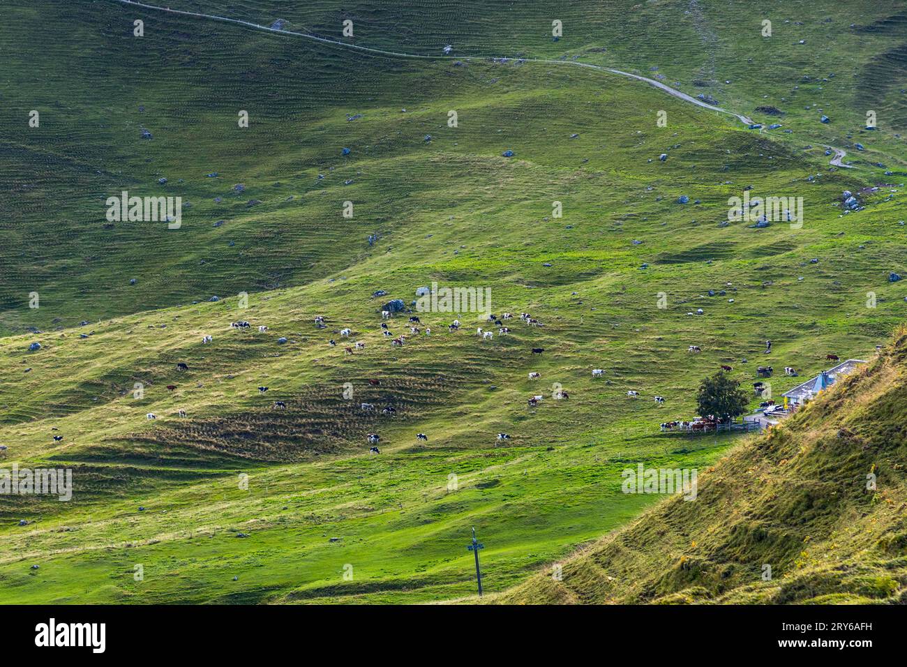 The primeval landscape of Brecca is a varied hiking area. Jaun ...