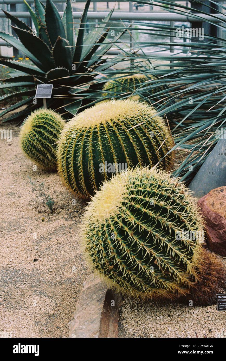 Inside botanical garden hi-res stock photography and images - Alamy