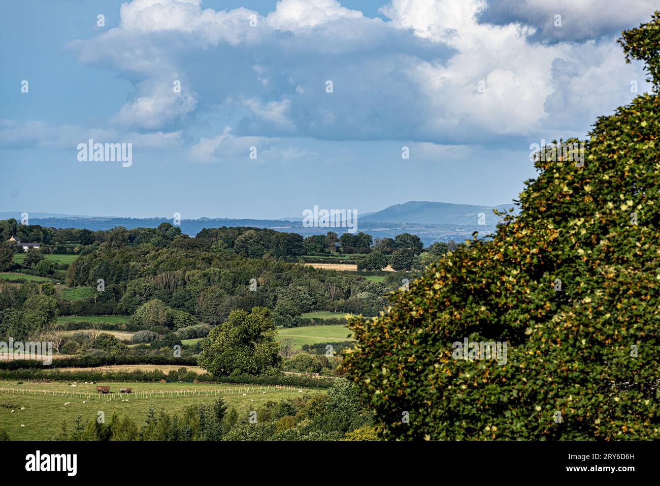 Across the Dales. Roseberry Topping (in the far distance) and the ...