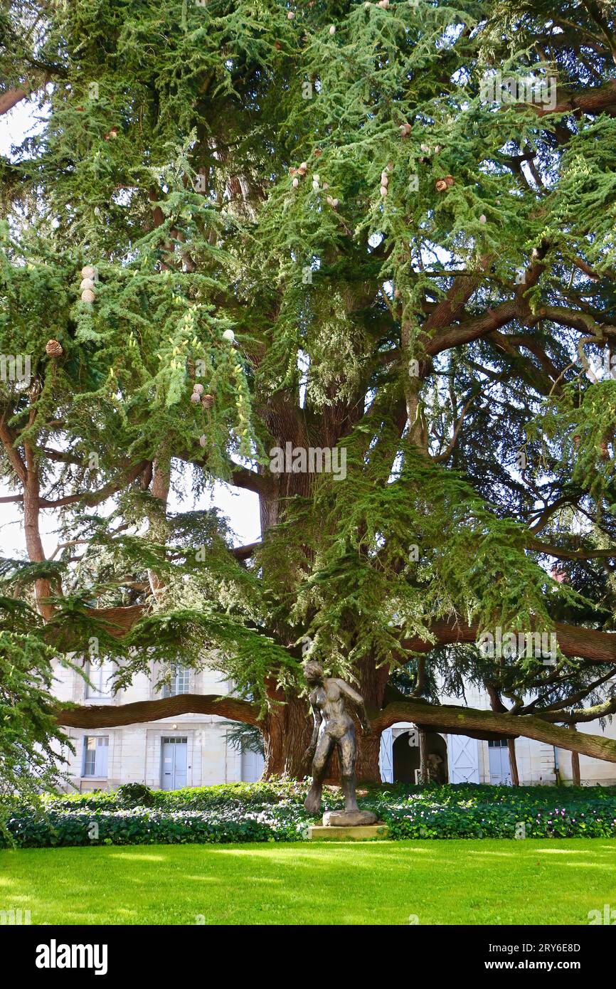 Sculpture La Source in front of the Giant Cedar of Lebanon evergreen ...