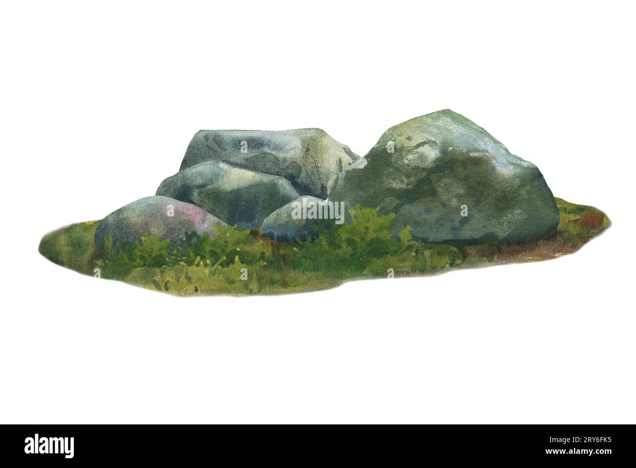 Forest landscape with rocks and grass. Hand drawn watercolor ...