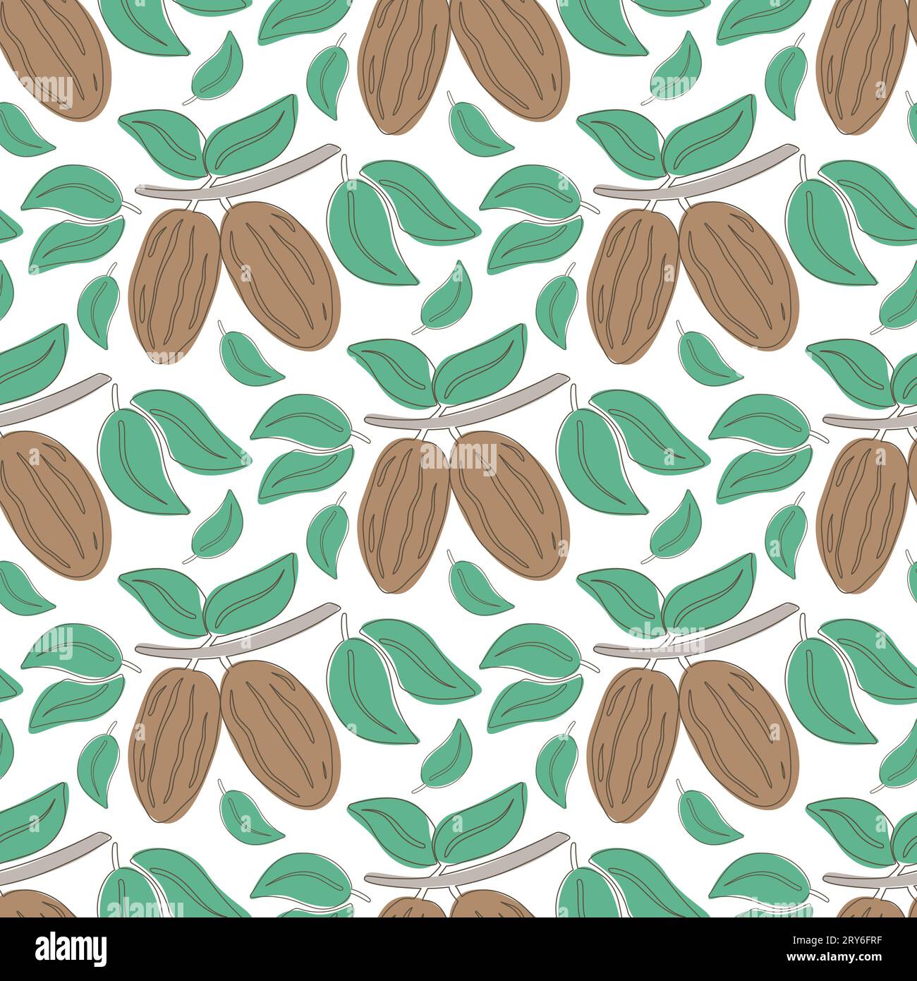 Cocoa leaf not cacao Stock Vector Images - Alamy