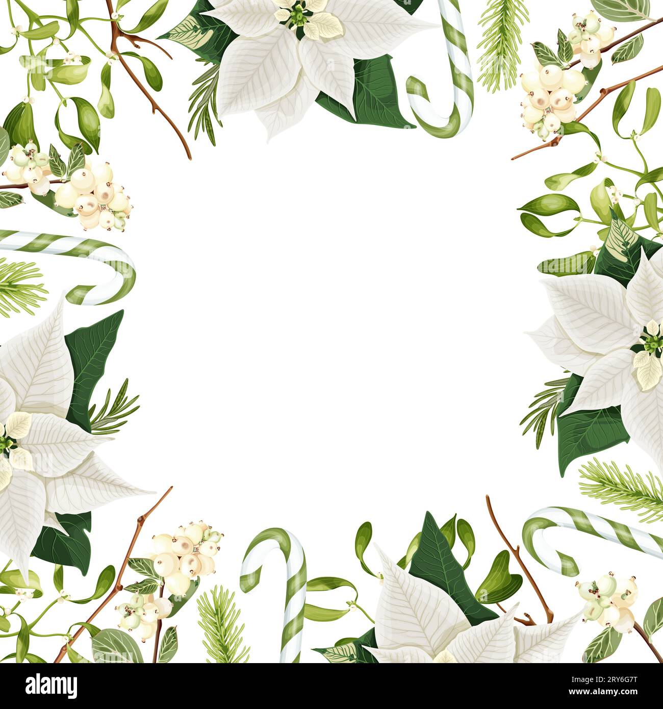 Christmas frame, border with white poinsettia flowers, rosemary ...