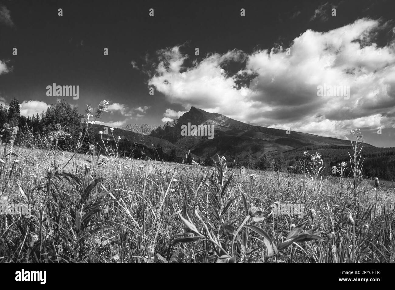 View of famous Krivan peak in High Tatras,Slovakia.National symbol ...