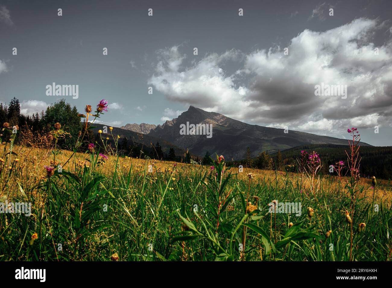 View of famous Krivan peak in High Tatras,Slovakia.National symbol ...