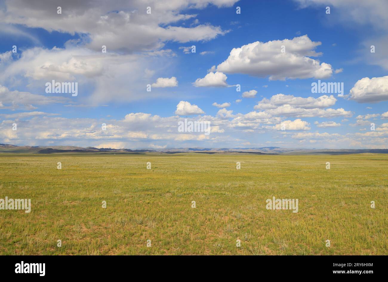 The fascinating steppe of Mongolia with its skies Stock Photo - Alamy