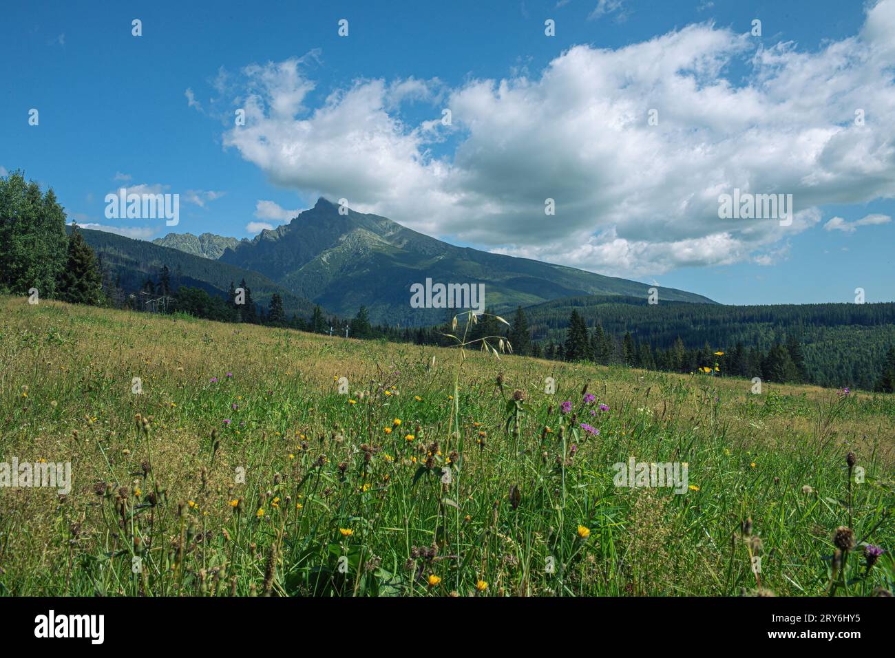 View of famous Krivan peak in High Tatras,Slovakia.National symbol ...
