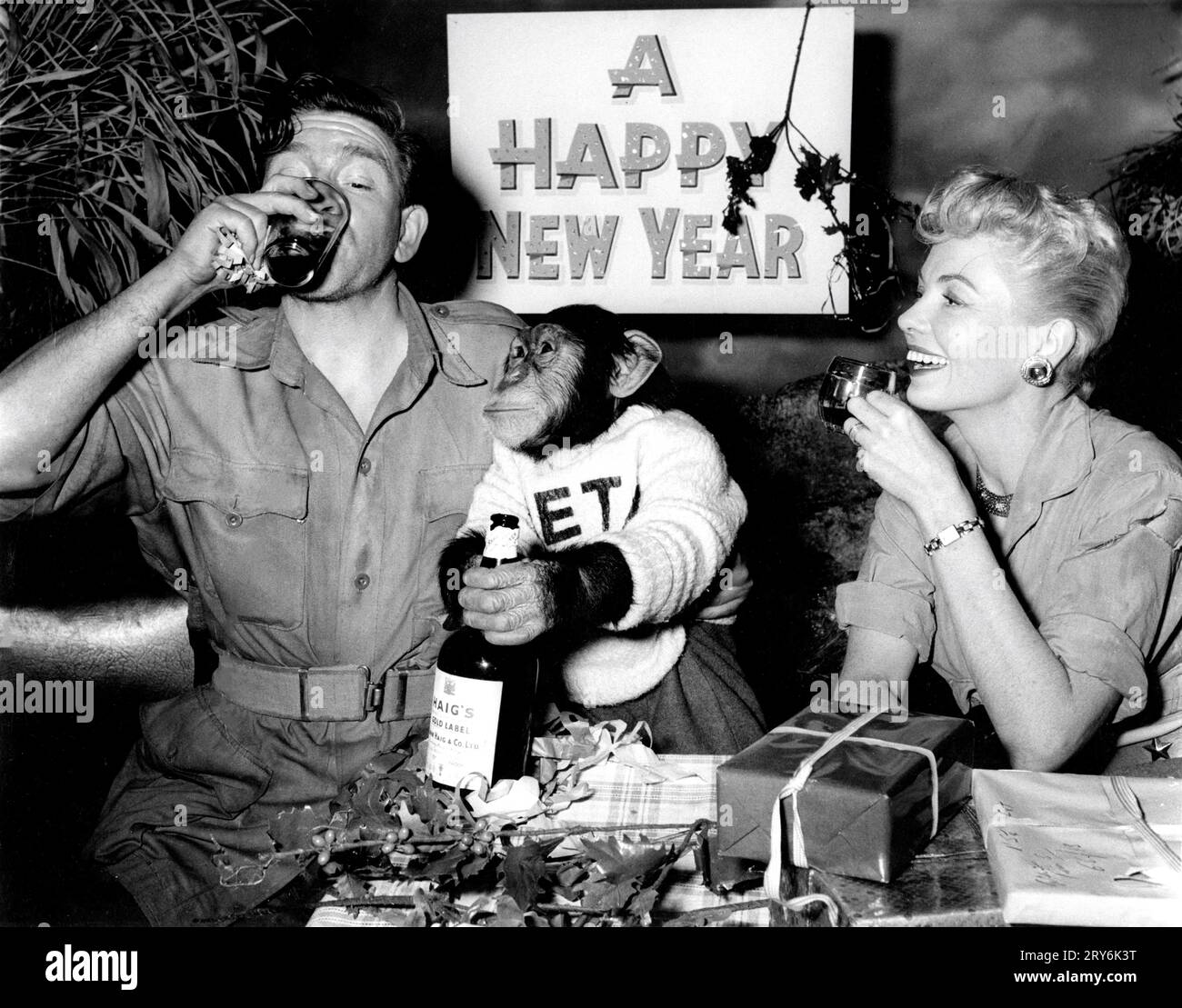 Yolande donlan scott tarzan lost hi-res stock photography and images ...