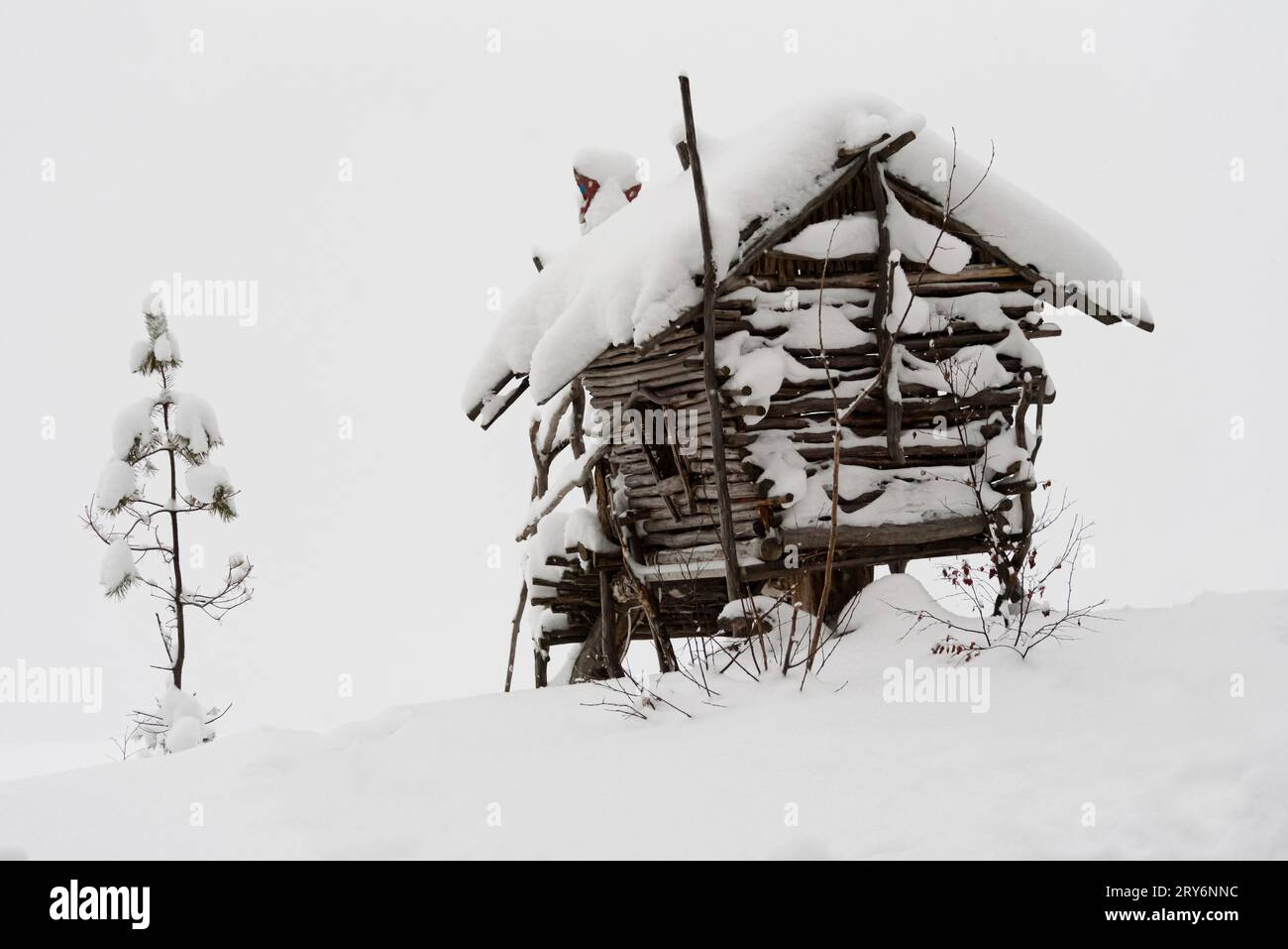 Self-made wooden toy house like fairy tale house under snow in forest ...