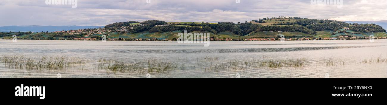 Panorama of the Mont-Vully wine-growing region on Lake Murten ...