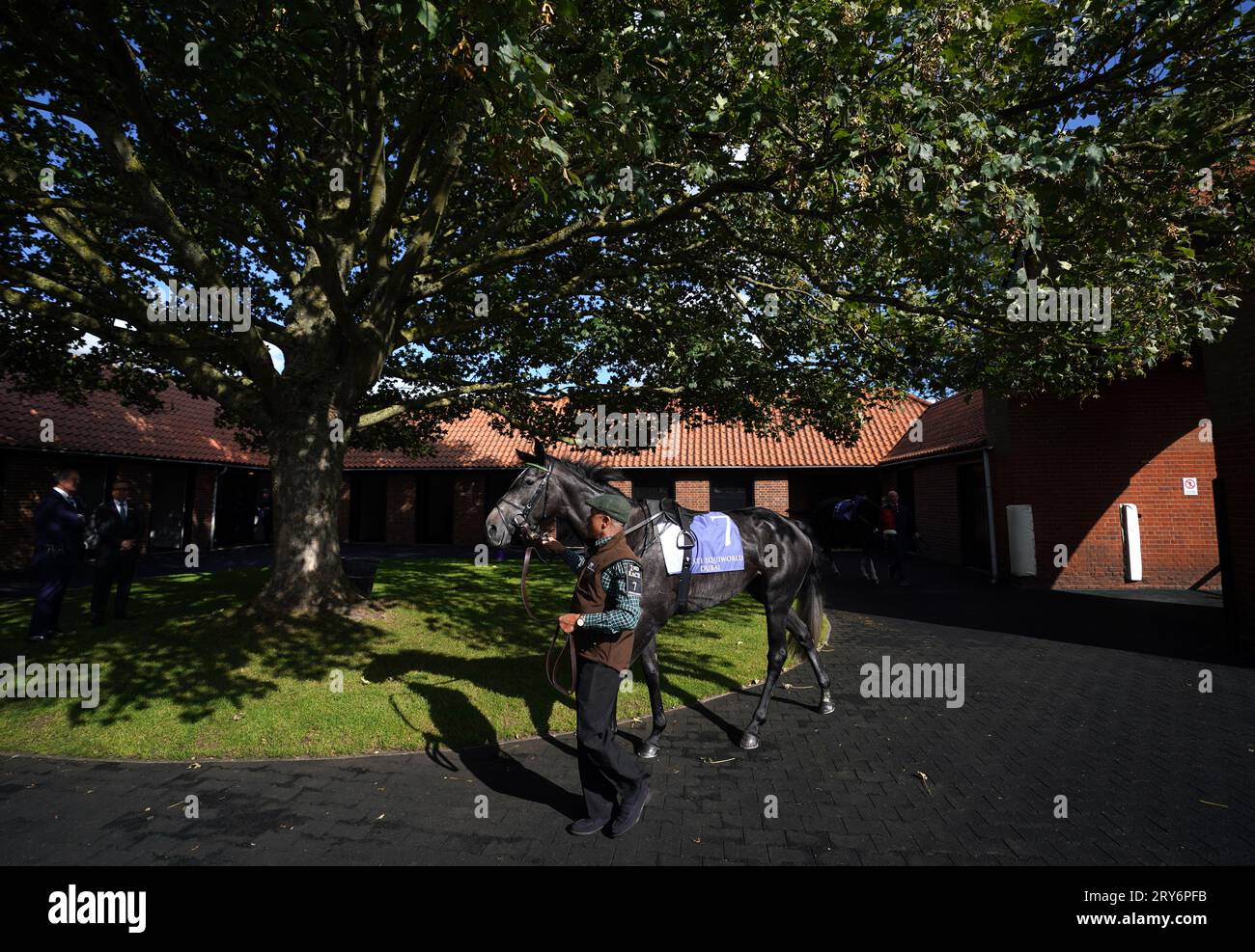 Running Lion led to the parade ring ahead of the Princess Royal Al ...