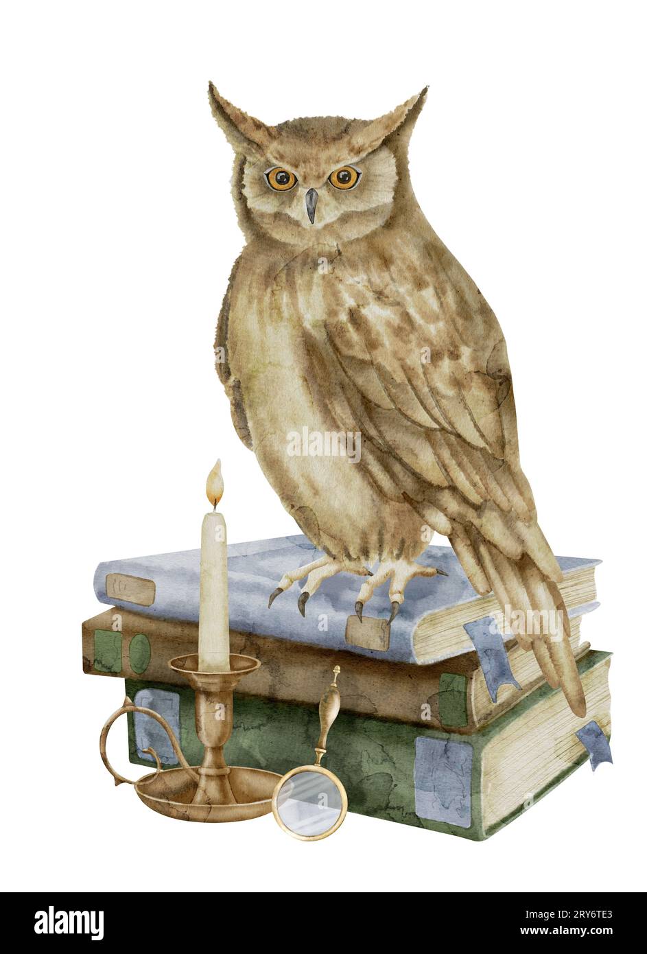 Wise Owl on a stack of books. Watercolor illustration of bird a symbol ...