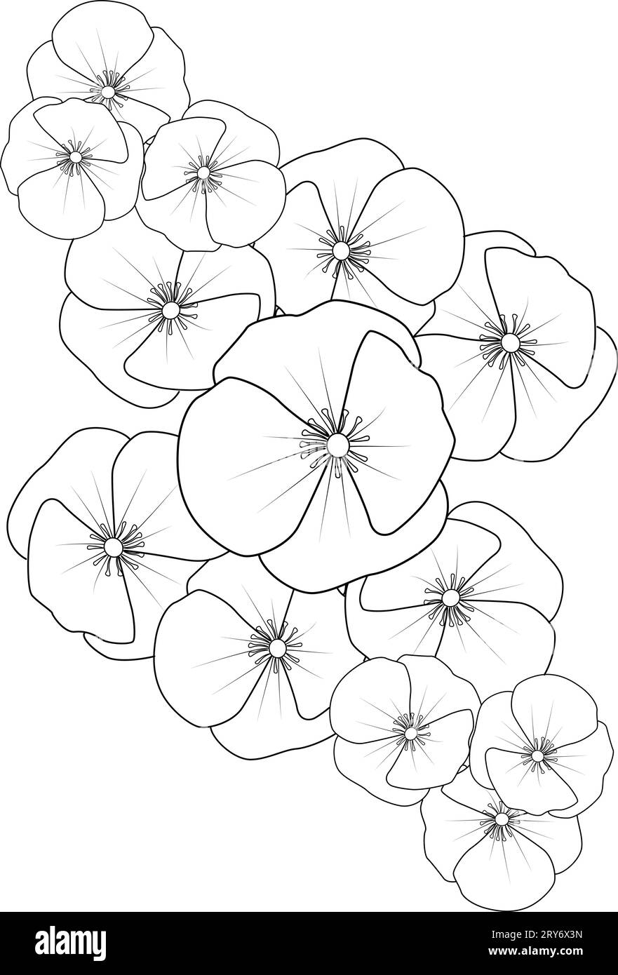 Poppy Tattoo Outline