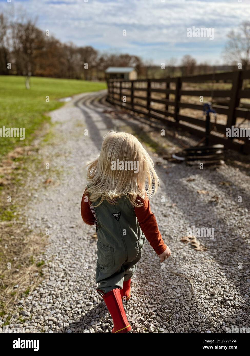 2 Year Old Boy with Long Hair enjoying a tour of the farm at our local ...