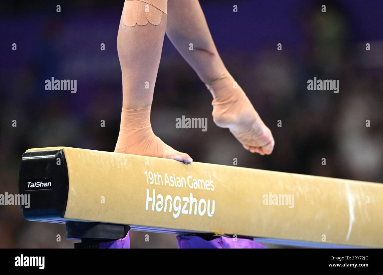 Hangzhou, China's Zhejiang Province. 29th Sep, 2023. Tang Xijing of ...