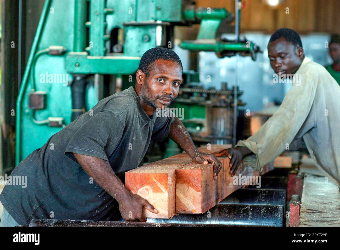 Ghana, Takoradi. Factory workers at a carpentry factory saw planks from ...