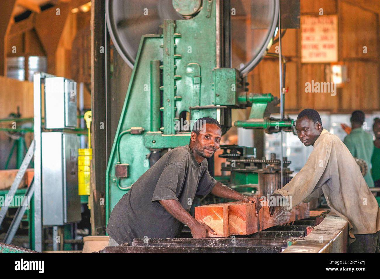 Ghana, Takoradi. Factory workers at a carpentry factory saw planks from ...