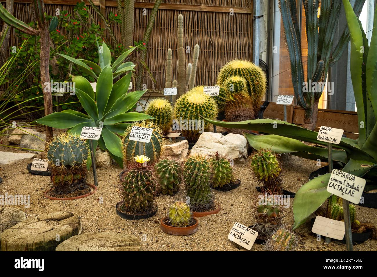 Botanic garden of grenoble hi-res stock photography and images - Alamy