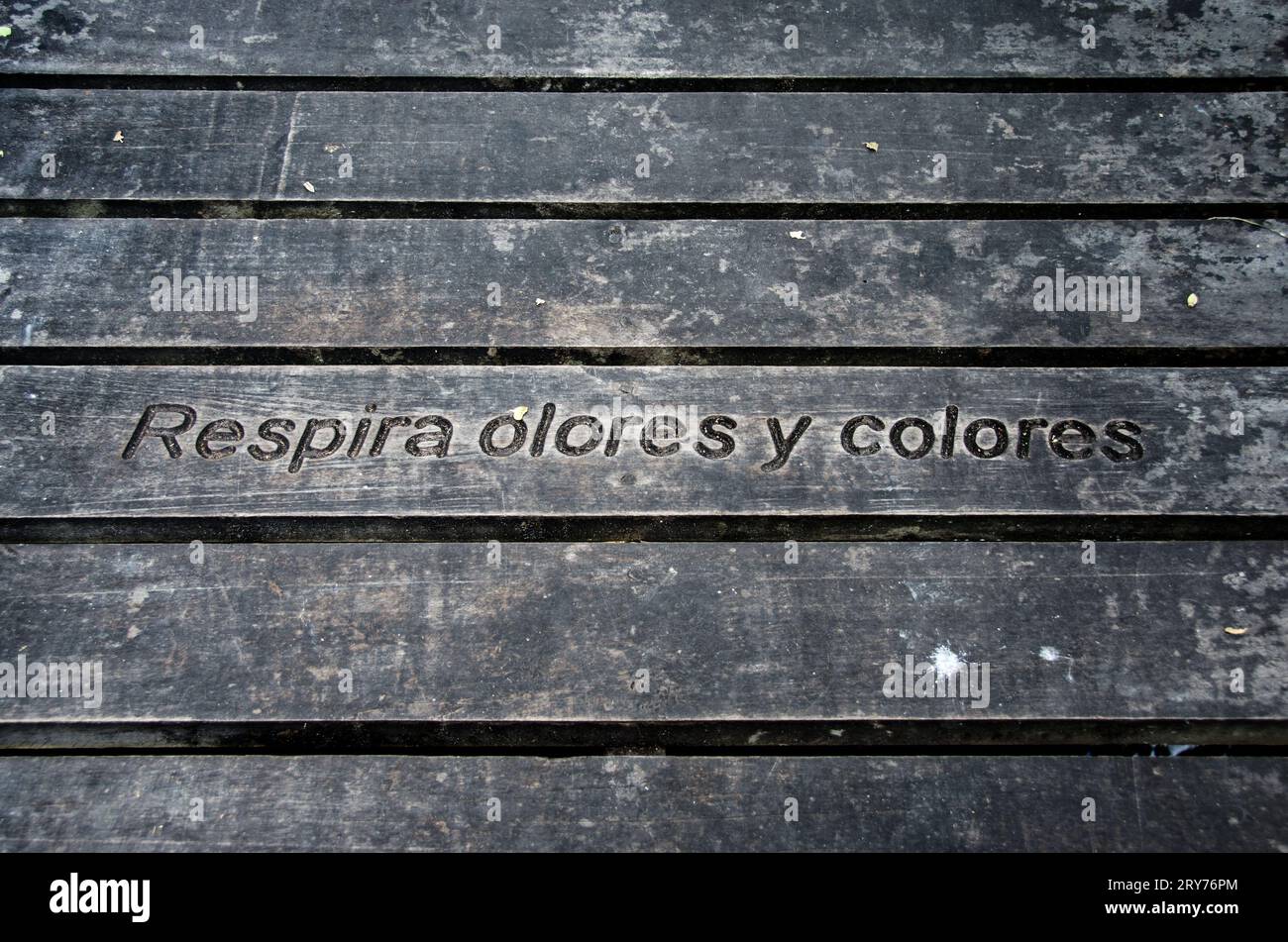 Colores y colores hi-res stock photography and images - Alamy