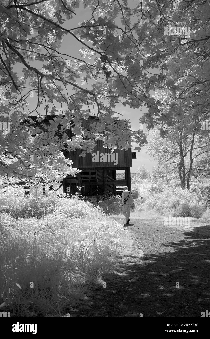 solitary older man walking towards old building (infra red image Stock ...