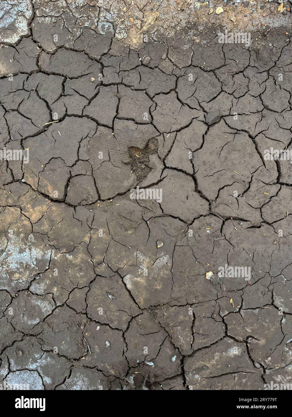 Mud drying out hi-res stock photography and images - Alamy