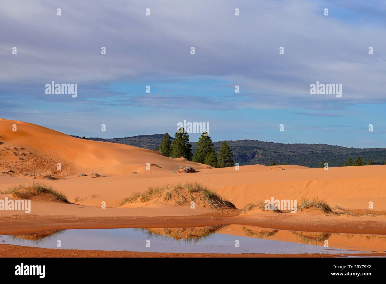 Sand Dunes reflecting in pool of water Stock Photo - Alamy