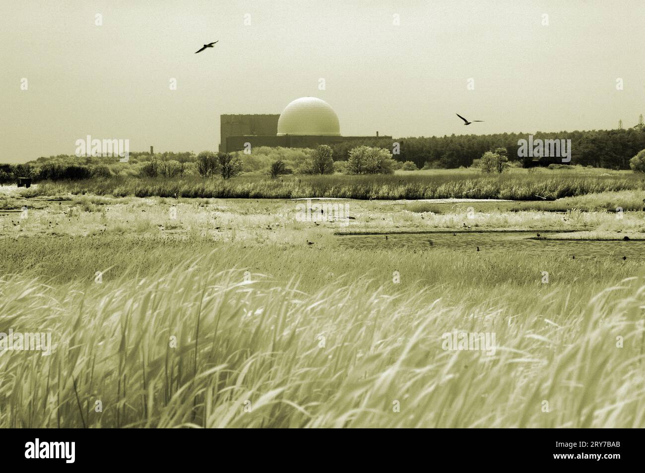 sizewell B nuclear power station sizewell suffolk england Stock Photo ...