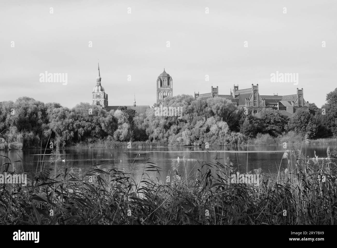 Germany 2023 hi-res stock photography and images - Alamy