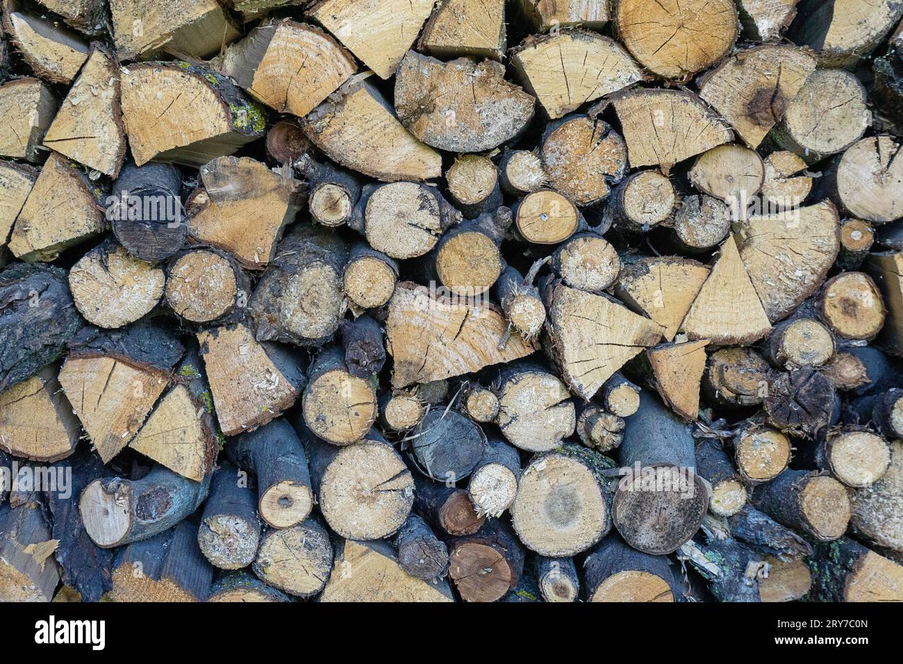 dry chopped firewood logs ready for winter. Pile of wood. Background ...